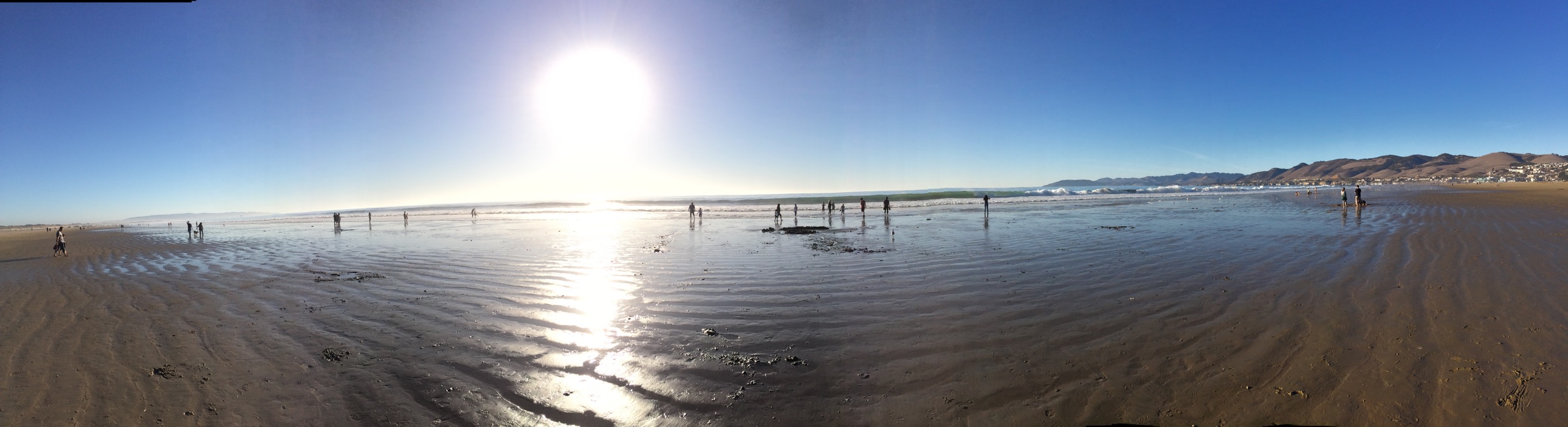 Flailing Wildly • Flailing Wildly